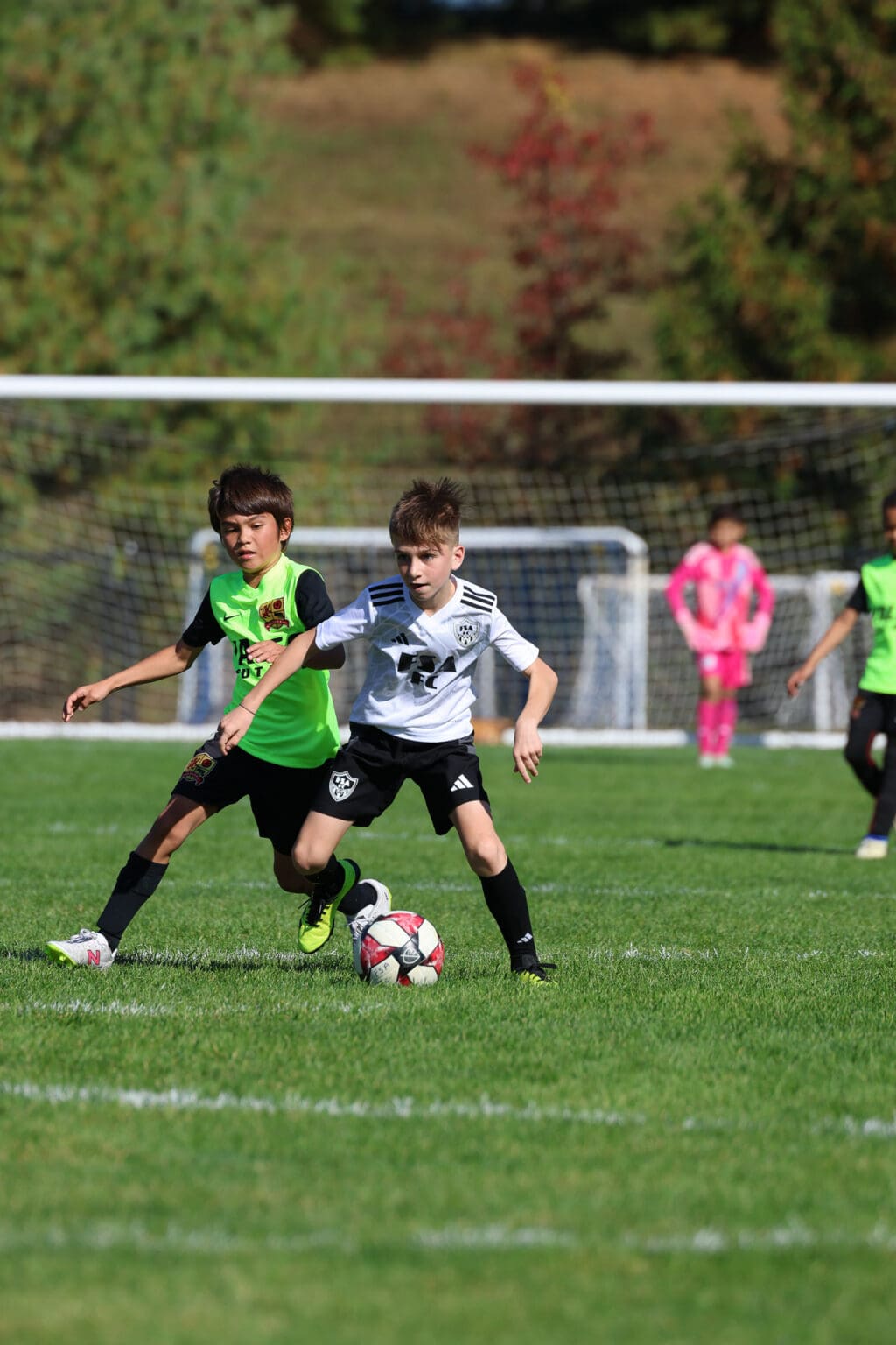 Leagues - FSA SPORTS (Arena)