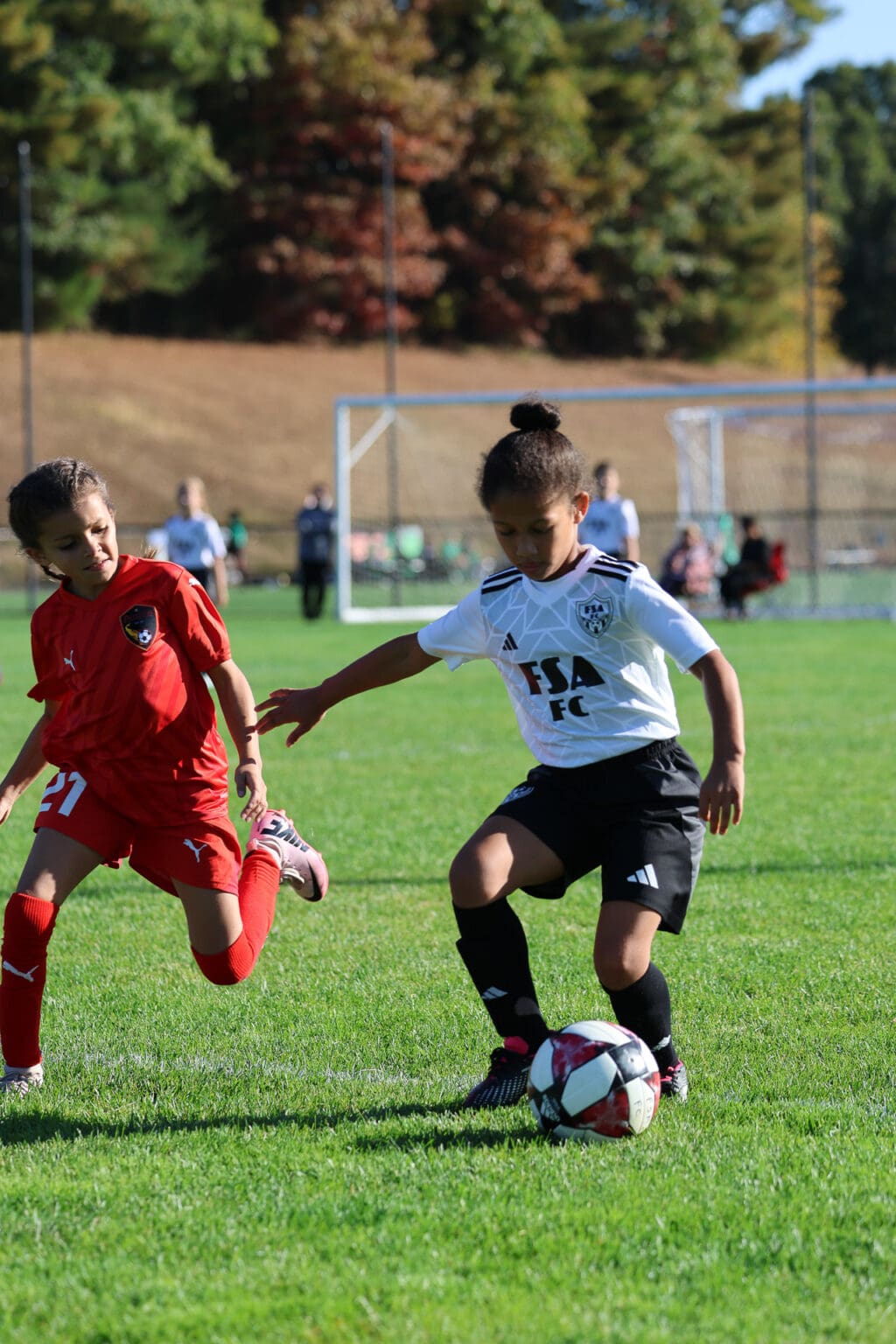 Leagues - FSA SPORTS (Arena)